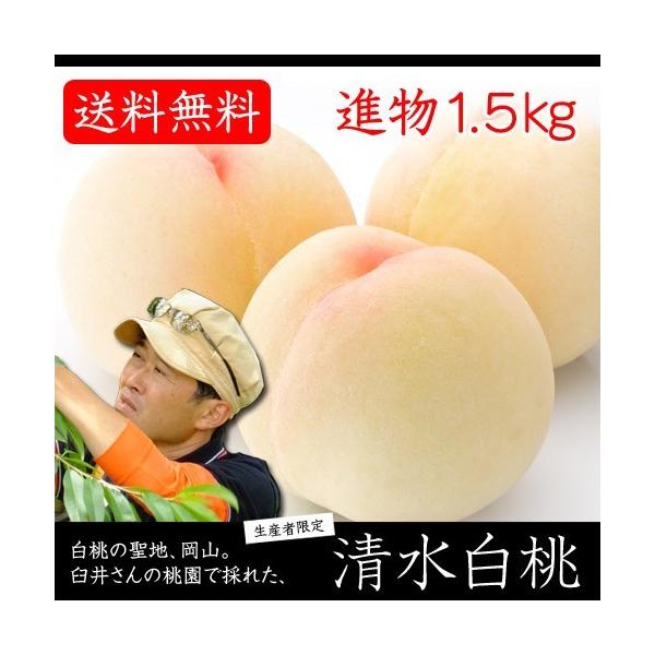 臼井桃園　進物　清水白桃　1.5kg箱　※4〜6玉　※サイズ・玉数の指定はできません出荷地：岡山県　発送：8月上旬〜8月15日頃出荷予定分●送料無料　ただし北海道へのお届けは2300円 沖縄諸島へのお届けは2300円がかかります<　