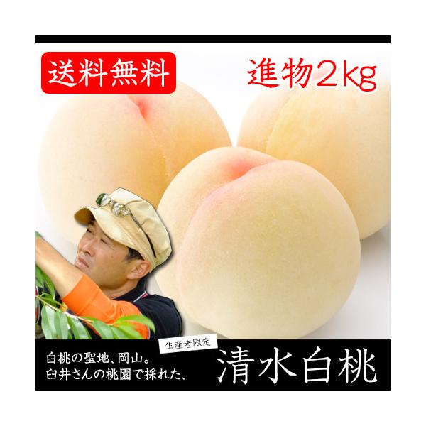 臼井桃園　進物　清水白桃　2kg箱　※5〜8玉　※サイズ・玉数の指定はできません出荷地：岡山県　発送：8月上旬〜8月15日頃出荷予定分●送料無料　ただし北海道へのお届けは2300円 沖縄諸島へのお届けは2300円がかかります<