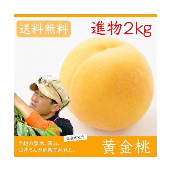 ●商品名　岡山県産　黄金桃●内容量　約2kg箱　5〜8玉●出荷地　山形県　※生産者直送品となりますので他の商品と同梱はできません●発送時期　8月下旬〜9月中旬●お届け日指定不可　※収穫が天候によって大きく左右されます。お届け日指定に対応出来...