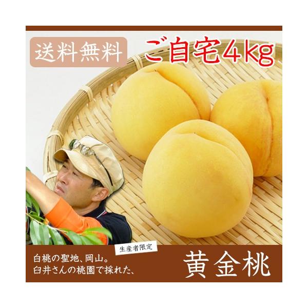 ●商品名　岡山県産　ご自宅用　黄金桃約●内容量　約4kg箱　10〜14玉●出荷地　山形県　※生産者直送品となりますので他の商品と同梱はできません●発送時期　8月下旬〜9月中旬●お届け日指定不可　※収穫が天候によって大きく左右されます。お届け...