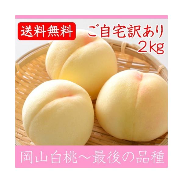 岡山白桃　最後の品種生産地　岡山県倉敷市収穫時期　8月下旬〜9月上旬●送料無料　ただし北海道へのお届けは2300円 沖縄諸島へのお届けは2300円がかかります<