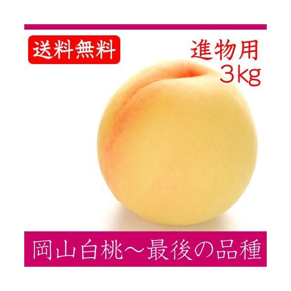 岡山白桃　最後の品種生産地　岡山県倉敷市収穫時期　8月下旬〜9月上旬●送料無料　但し、北海道へのお届けは2300円 沖縄諸島へのお届けは2300円がかかります。