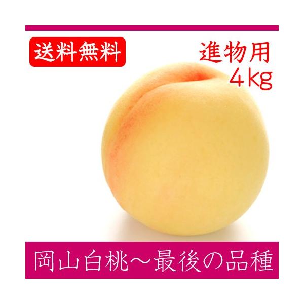 岡山白桃　最後の品種生産地　岡山県倉敷市収穫時期　8月下旬〜9月上旬●送料無料　但し、北海道へのお届けは2300円 沖縄諸島へのお届けは2300円がかかります。