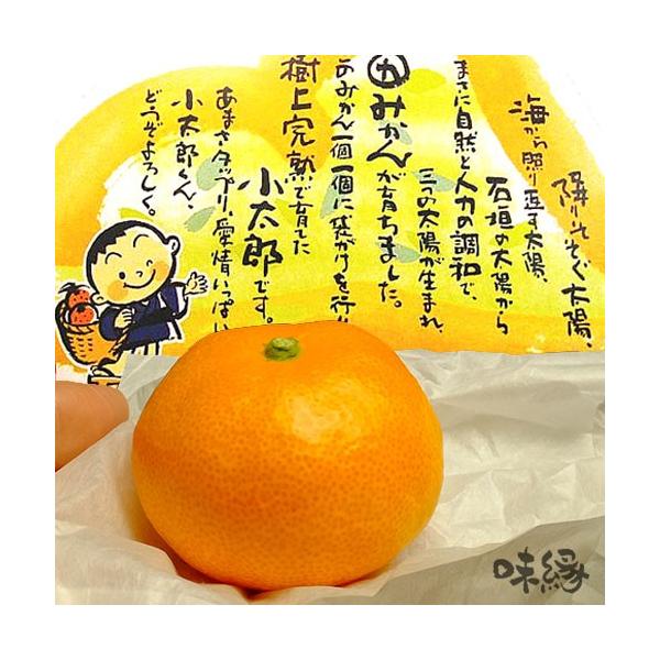 果実は積算温度（温度×時間）によって甘さ増します。そこで、酸味の強い小玉果だけ、寒さよけの袋をかけて１月中旬迄、樹に成らせ越冬させたのが、この『小太郎」です。【1月上旬〜1月下旬頃】●送料無料　ただし北海道へのお届けは2300円 沖縄諸島へ...