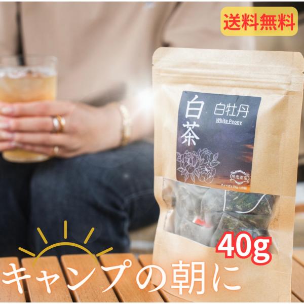 【価額が激安などの詐欺サイトにご注意ください】当店と一切関係ございません！当店は「Amazon」「Yahoo」「ラクマ」「メルカリ」しか販売しておりません。詐欺にご注意ください。白牡丹は白茶の中で、「白毫銀針」の次にランクの高いお茶になりま...