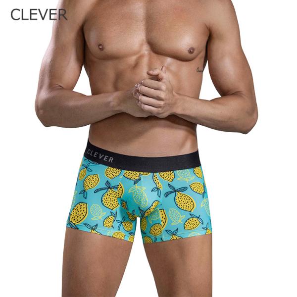 ブランド：CLEVER産地：コロンビア構成: ポリエステル 68%、エラスタン 32%。CLEVER LEMONS TRUNKSは、スタイリッシュで快適な履き心地を提供するローライズボクサーです。弾力性に優れた素材を使用し、ジムやスポーツシ...