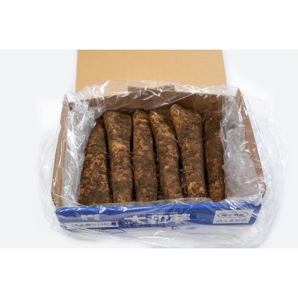 【発売日：2025年11月10日】埼玉県熊谷市妻沼(めぬま)地区の大和芋は、知る人ぞ知る【ブランド野菜】で、利根川流域の肥沃な大地で育まれており，まろやかでコクがあり粘りが強いのが特徴です。大和芋は乾燥に弱く，肥沃な土壌と特定の気候条件のも...