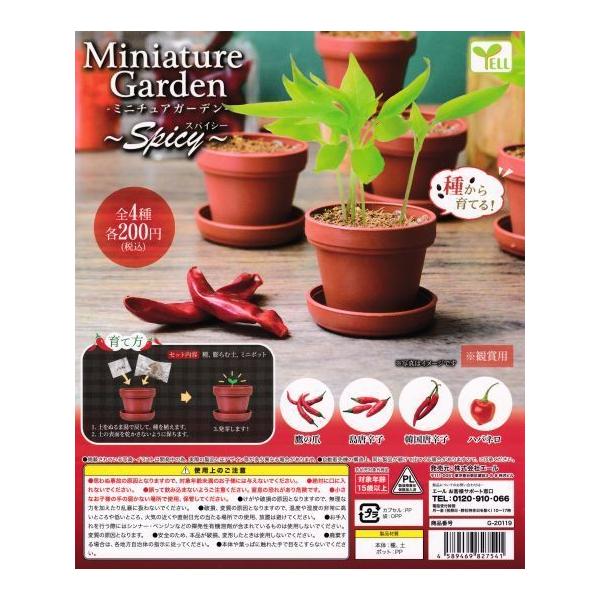 2021年8月発売　　エール　　200円カプセルトイセット内容■全4種+POP台紙セット定価：800円種から育てる♪無い様：種・膨らむ土・ミニポット鷹の爪島唐辛子韓国唐辛子ハバネロ