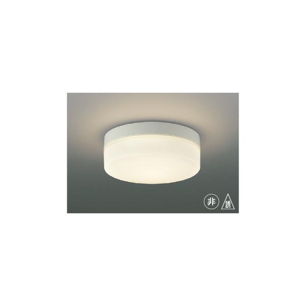 【仕様】●メーカー：コイズミ照明/KOIZUMI●型番：AR49373L●JANコード：4906460619904●階段通路非常灯・誘導灯●FCL20W相当●電球色●2700K●防雨型【ご注意】※寿命は、全光束が初期の70%となる時間です。...