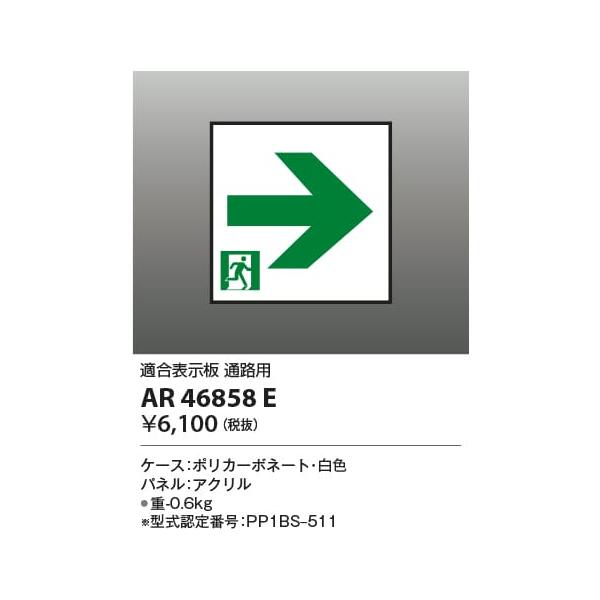 品番：AR46858E品名：誘導灯パネル価格：6100円メインスペック 税抜価格［円］：6100 器具ジャンル：非常用照明器具 あかり専科掲載ページ［ページ］：726 ケース：ポリカーボネート・白色 パネル：アクリル ●重-0.6kg ●A...