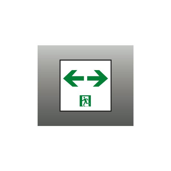 品番：AR54539E品名：誘導灯パネル価格：3300円メインスペック 器具ジャンル：非常用照明器具 税抜価格：3,300円 その他の属性：ケース：ポリカーボネート・白色  パネル：アクリル  ●重-0.3kg  ●AR54553・AR54...