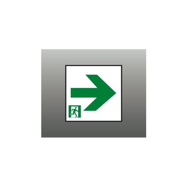 品番：AR54546E品名：誘導灯パネル価格：7000円メインスペック 器具ジャンル：非常用照明器具 税抜価格：7,000円 その他の属性：ケース：ポリカーボネート・白色  パネル：アクリル  ●重-0.6kg  ●AR54551・AR54...