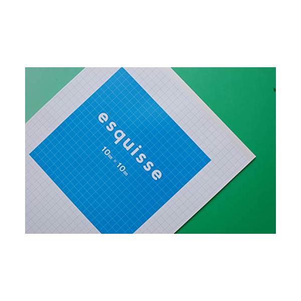 多色/A3／50枚とじ/K-ES10・A3サイズ（297mm×420mm）・天糊マーブル巻き（剥ぎ取り式）・10mm方眼 50枚 OPP袋入り