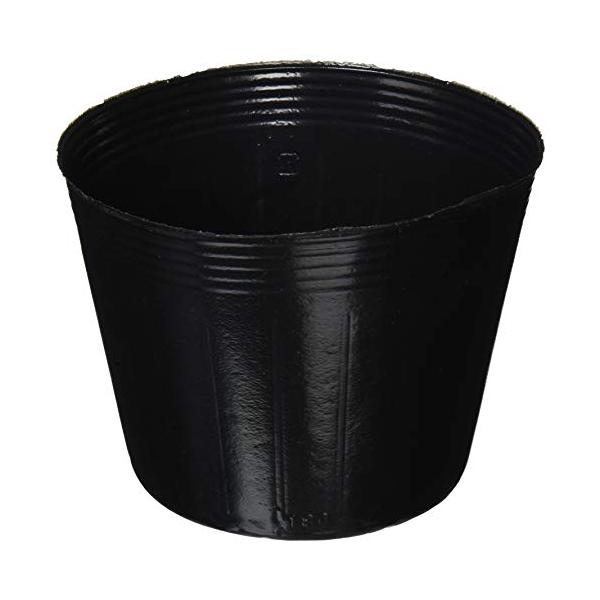 シンプルブラック/-/152910・用途:育苗・色:黒