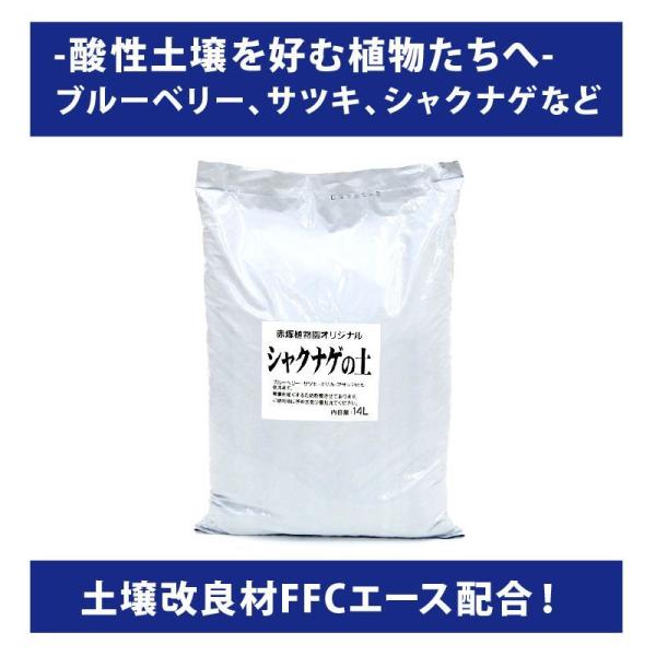 酸性土壌を好むサツキ、ツツジ、シャクナゲ、アザレア、ブルーベリー、エリカなどにぴったりの培養土です。青花のアジサイにも！ 赤塚植物園は、西洋シャクナゲの栽培と販売に着手して、半世紀が経過致しました。このシャクナゲ専用培養土は、そんな赤塚植物...