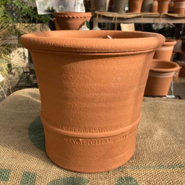 ※こちらは各種プレゼントキャンペーン対象外の商品です。[ウィッチフォード Buxus Pot]中央から下部にかけてバンドとルーレット装飾が施された、安定感のあるデザインです。サイズ：直径 約20cm、高さ 約19cm素材：陶磁器（陶土）お届...