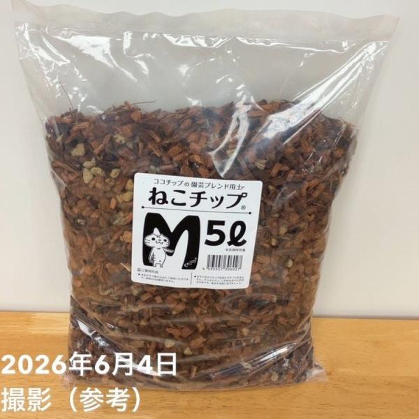 [ねこチップ]ねこチップは、園芸家nekoteito（=通称：ネコさん）が観葉植物向けに考案した、ココチップとひゅうが土・日向かる土をブレンドした室内園芸用の培養土です。ココチップと軽石をバランスよく配合し、通気性と排水性に優れているため、...