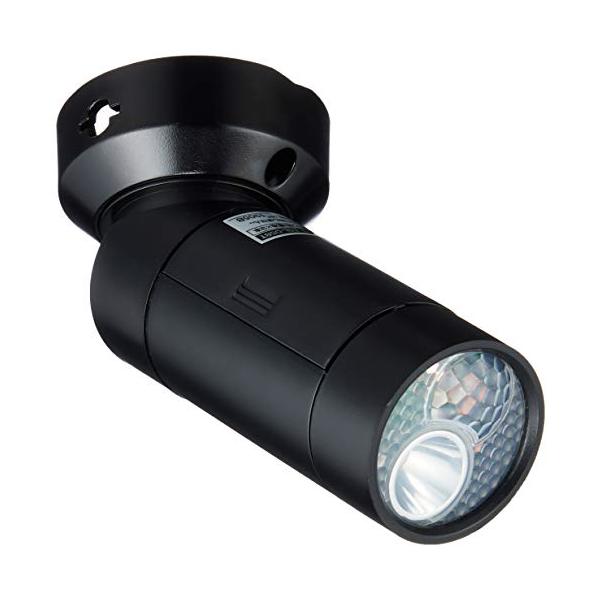 メーカー型番:ESL-05BT(BK)サイズ:約φ6.2×全長13.7(最大値)本体重量:約84g(電池除く)素材・材質:ABS