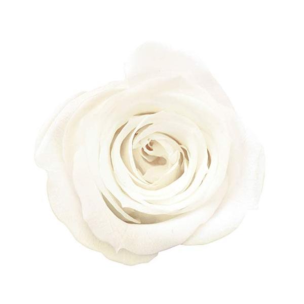 【商品概要】自然の生花や植物を原料としている為、サイズ、色、形に個体差があります。サイズ:花径約3〜3.5cm・花丈約2.5〜3cm材質:生花原産国:日本【商品説明】説明生花の様に表情豊かなプリザーブドフラワーお部屋のインテリアや、フラワー...