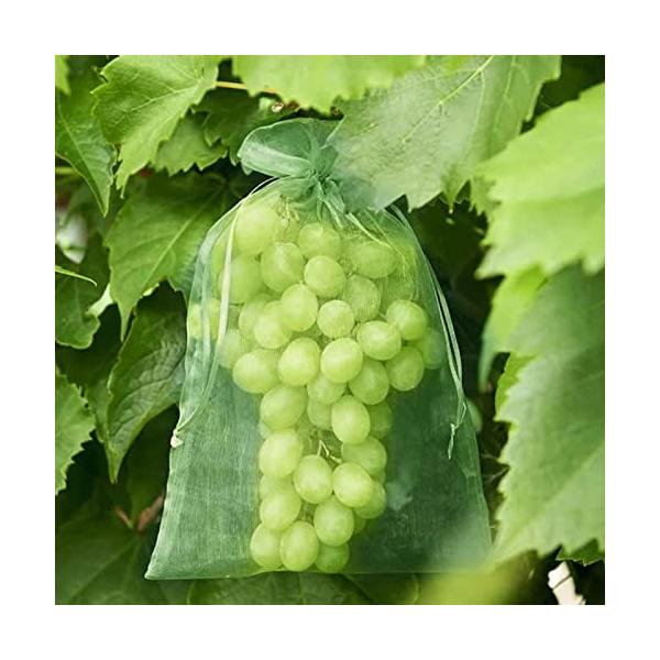 【商品概要】【商品説明】商品名：果物保護バッグ素材：オーガンザ包装内容明細書：15*20cm（100個入）、20*30cm（100個入）耐久性素材・透明メッシュ：フルーツの花を保護するバッグは頑丈なナイロン素材を採用しており、耐腐食性、耐久...