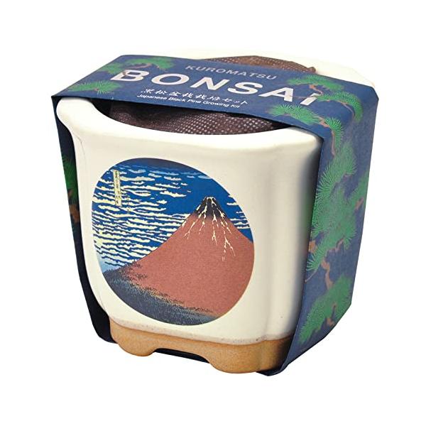 【商品概要】商品サイズ:約8.5×8.5×7.5cmセット内容:鉢(陶器),土,種,説明書×各１北斎モチーフの盆栽鉢で育てる黒松の栽培セット【黒松】荒々しい樹皮は灰黒色太くて硬い葉と幹が特徴的初心者にもおすすめの品種栽培の際は説明書をよくお...