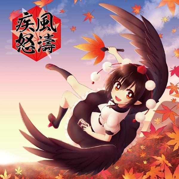 【発売日：2019年10月10日】疾風怒涛 Sound Refil 発売日:2019年10月10日　アキバホビー通販　2019/10/10　発売予定です。日付に御注意ください。