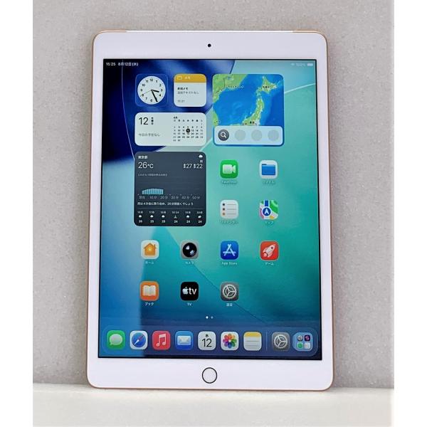 [仕様]●内蔵ストレージ容量：32GB●液晶：10.2インチ Retina ディスプレイ (2160x1620)●OS：iPadOS 26.6●対応キャリア：SIMフリー●対応SIMカードサイズ：nanoSIM●ネットワーク利用制限：- 判...