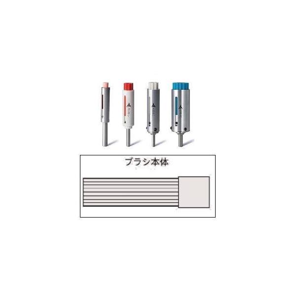 【取寄品 出荷：約4−8日 土日祝除く】XEBEC A11-EB02S ブラシ表面用 エンド型