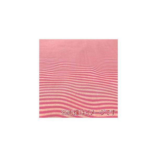 【取寄品 出荷：約5−9日 土日祝除く】商用利用可能な生地です