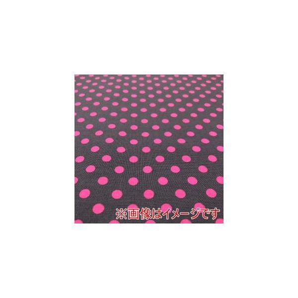 【取寄品 出荷：約5−9日 土日祝除く】商用利用可能な生地です