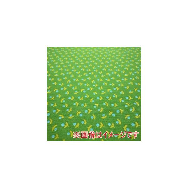 【取寄品 出荷：約5−9日 土日祝除く】商用利用可能な生地です