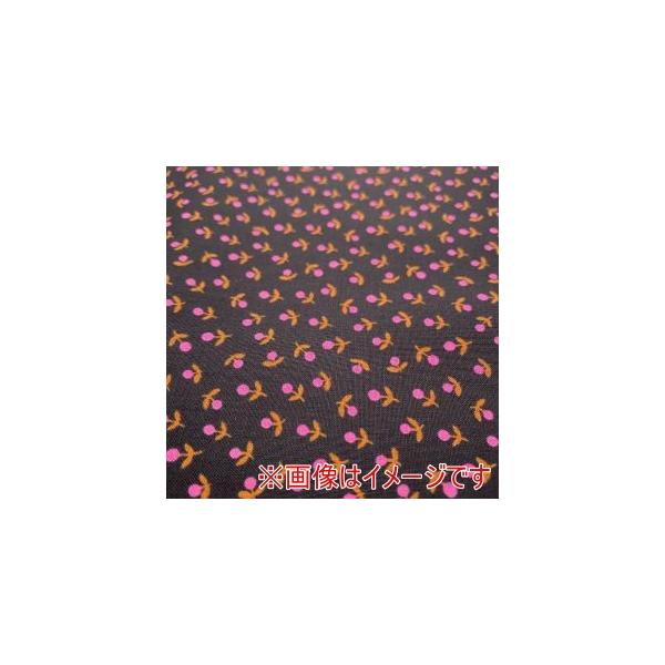 【取寄品 出荷：約5−9日 土日祝除く】商用利用可能な生地です