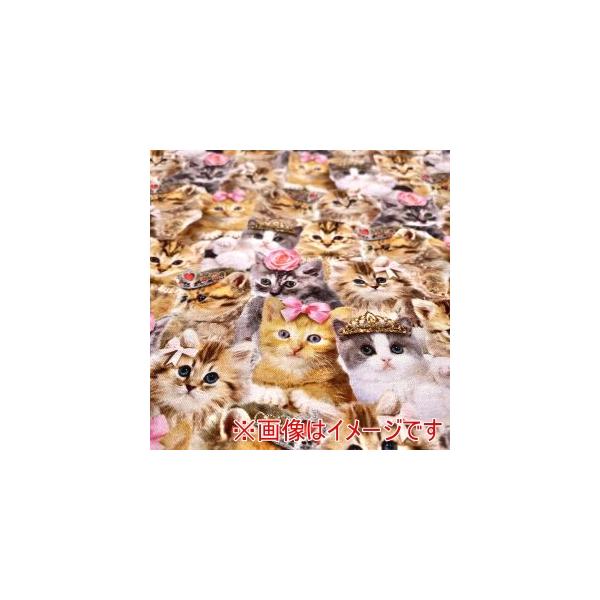 【取寄品 出荷：約5−9日 土日祝除く】商用利用可能な生地です