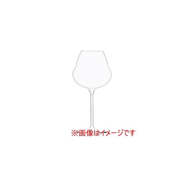 【取寄品 出荷：約4−8日 土日祝除く】ワインのプロフェッショナルによる、ワインのためのグラスレーマンシャンパーニュ地方に創業、ソムリエ、シェフの経験と知識を注いだグラスブランドエノマストシリーズ。