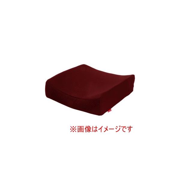 【取寄品 出荷：約5−9日 土日祝除く】