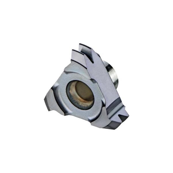 【取寄品 出荷：約2−6日 土日祝除く】高い精度と優れた加工性を持ち合わせた研磨チップです。