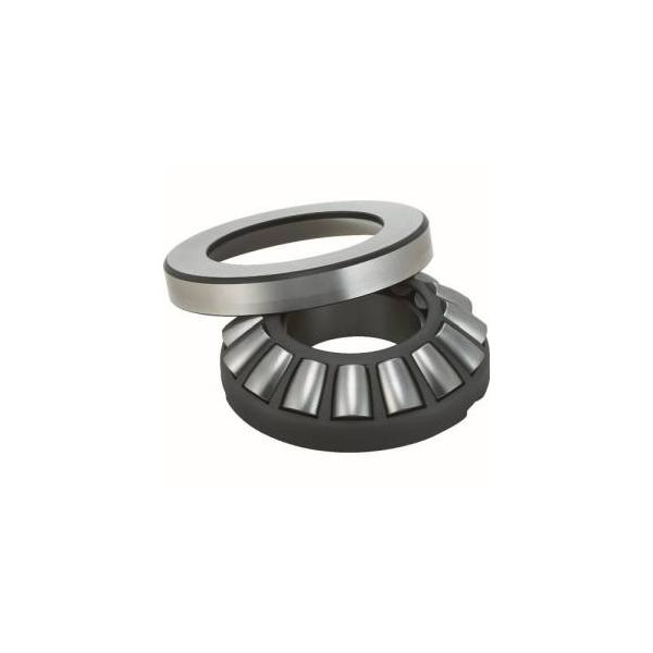 【取寄品 出荷：約2−6日 土日祝除く】調心性があり、軸心の狂いを自動的に調整できます。