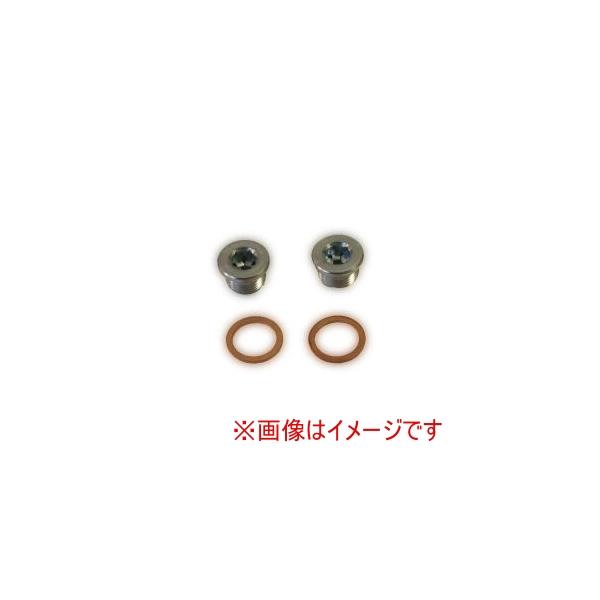 【取寄品 出荷：約5−9日 土日祝除く】O2センサー取付穴をふさぐボルトです。