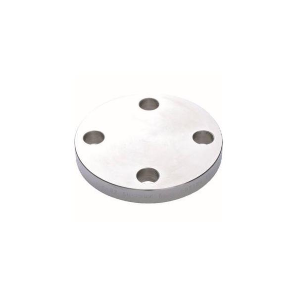 【取寄品 出荷：約2−6日 土日祝除く】耐食性に優れたステンレス製のフランジです。