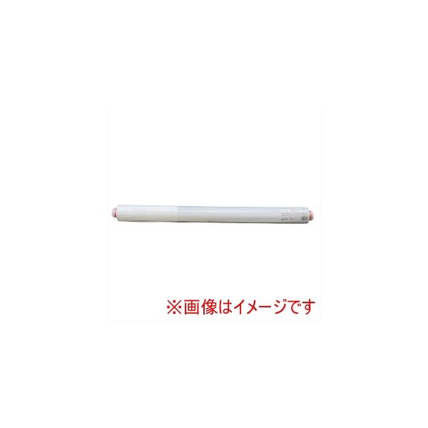 【取寄品 出荷：約5−9日 土日祝除く】こちらの商品は、メーカーでの長期欠品や生産終了を理由に、ご注文をキャンセルさせて頂く場合がございますので、あらかじめご了承願います。
