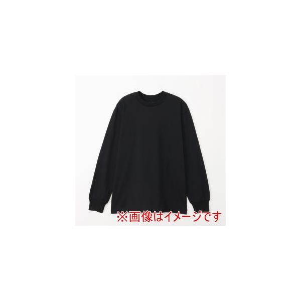 【取寄品 出荷：約5−9日 土日祝除く】Pack-T(パックT)のパイオニア、Hanes(R)(ヘインズ)が提案する、"Hanes(R) T-SHIRTS KURO"(ヘインズ Tシャツ クロ) クルーネックロングスリーブTシャツです。生地...