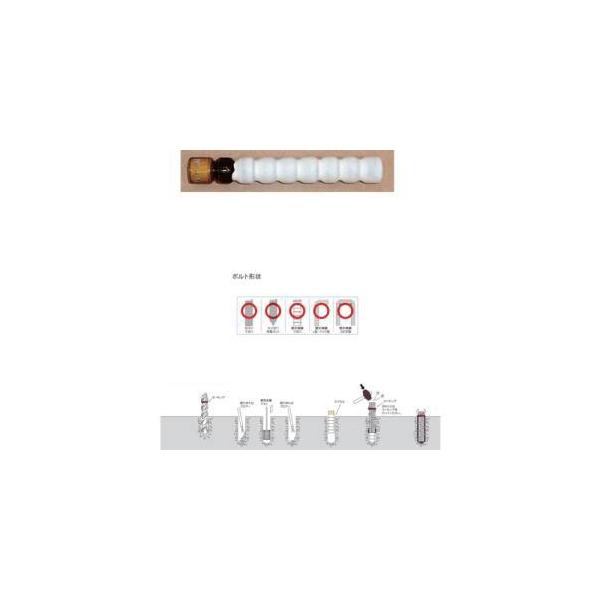 【取寄品 出荷：約2−6日 土日祝除く】