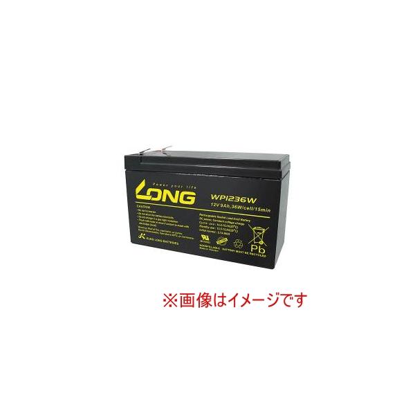 【取寄品 出荷：約2−6日 土日祝除く】WPワットはWP WATTシリーズはハイパワーアプリケーション向けに設計されています。低インピーダンスと高効率の放電性能を実現。