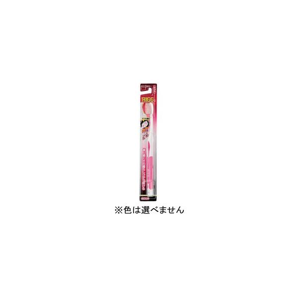 【取寄品 出荷：約5−9日 土日祝除く】【メール便6個まで対象商品】ダブル植毛で歯と歯ぐきの間もしっかり磨ける歯ブラシ(ふつう)です。内側ハード+外側ソフトのダブル植毛で、歯と歯ぐきの境目もしっかり磨けます。フラット毛が歯面についた汚れを落...