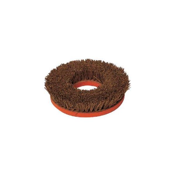 【取寄品 出荷：約2−6日 土日祝除く】洗浄。