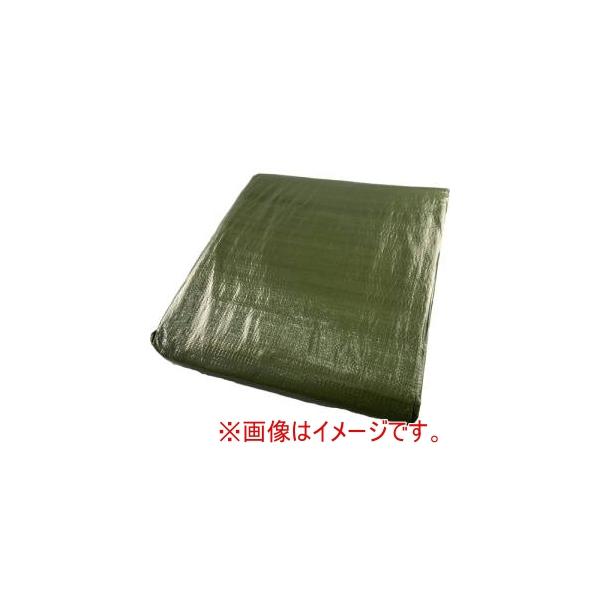 【取寄品 出荷：約2−6日 土日祝除く】山間部や緑地地帯で使用の際に周囲の景観によいシートです。