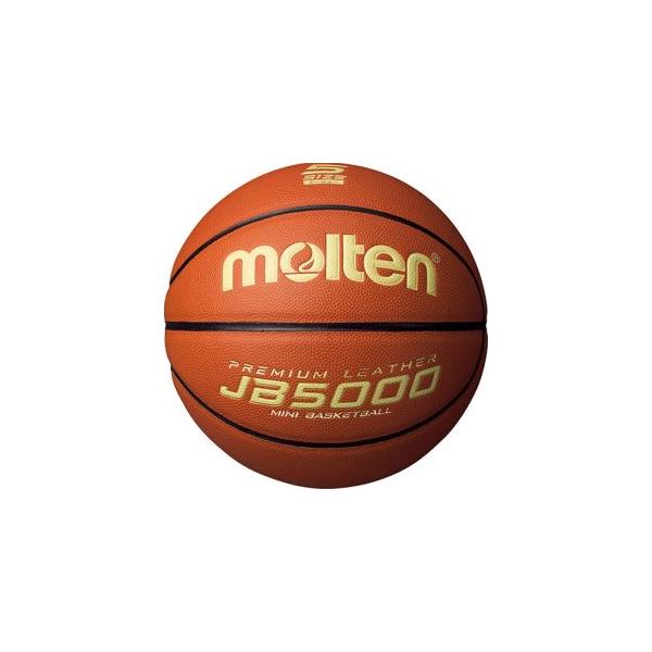 【取寄品 出荷：約5−9日 土日祝除く】ミニバスケットボールトレーニング用。軽量でビギナーのトレーニングに最適素材:貼り、人工皮革サイズ:5号球 (小学校用:円周69〜71cm、直径約22cm)重量:390〜425g(通常5号球 は470〜...