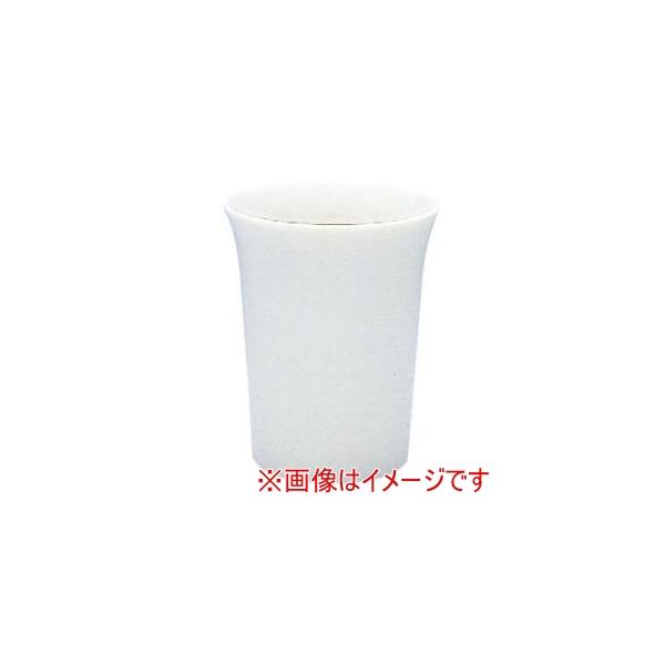 【取寄品 出荷：約5−9日 土日祝除く】ホテル用サニタリーグッズ