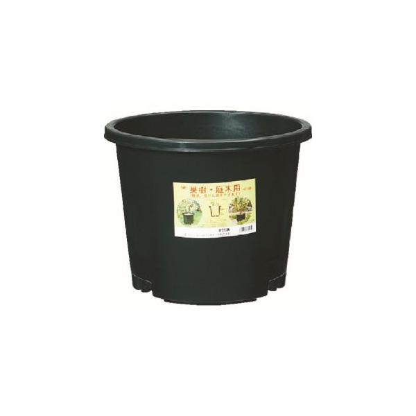 【取寄品 出荷：約5−9日 土日祝除く】