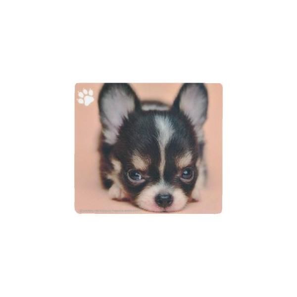 【取寄品 出荷：約3−7日 土日祝除く】マウスがスムーズ、SmooZoo。